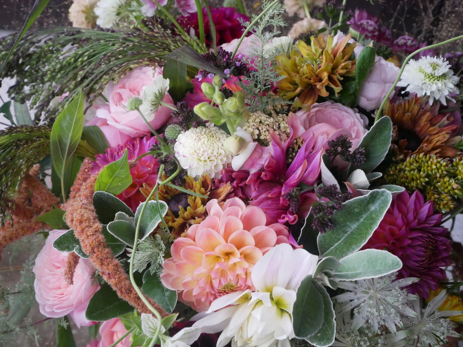 Gallery of Seasons - Clodhopper Blooms