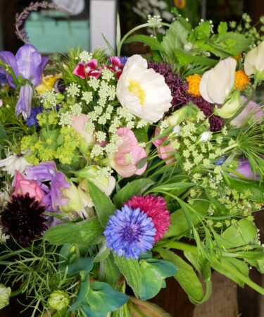 Clodhopper Blooms – Seasonal cut flowers grown in Kirkby Stephen, Cumbria – flowers without airmiles