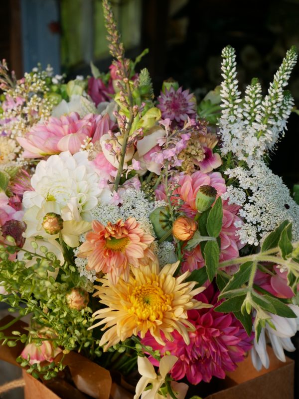 Clodhopper Blooms - ~Seasonal Cut Flowers grown in Kirkby Stephen Cumbria~