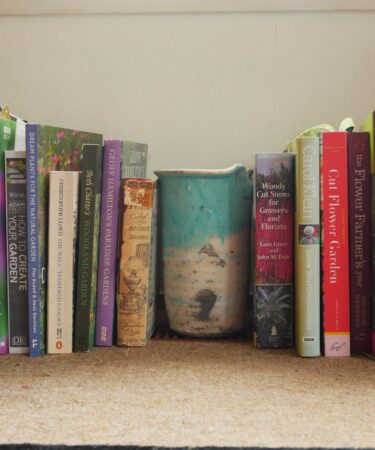 Clodhopper Blooms - ~Seasonal Cut Flowers grown in Kirkby Stephen ...