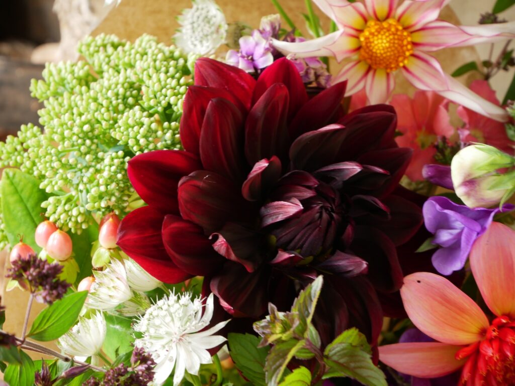 What's in Season - August Flowers - Clodhopper Blooms