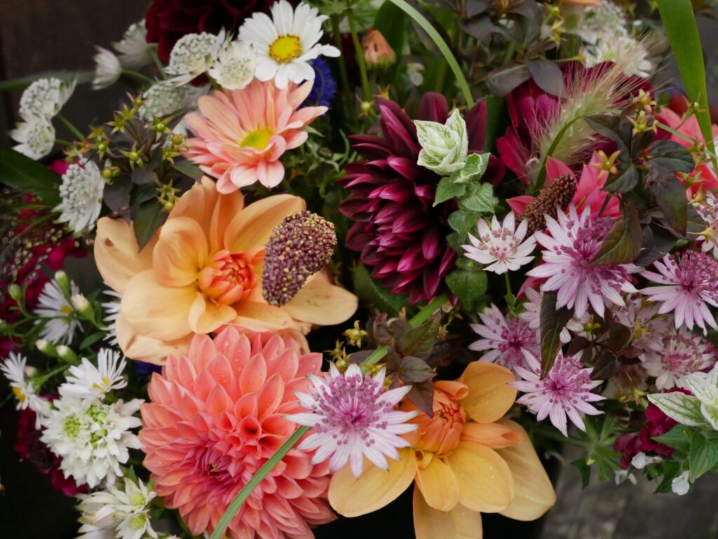 What's in Season - October - Clodhopper Blooms