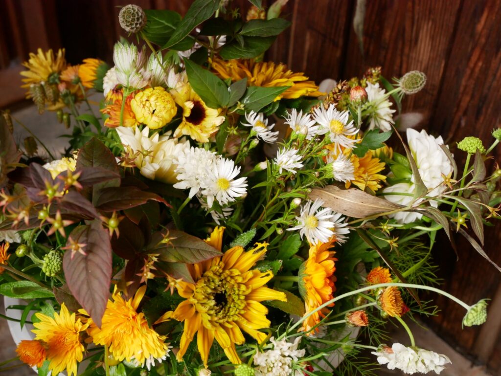 What's in Season - October - Clodhopper Blooms