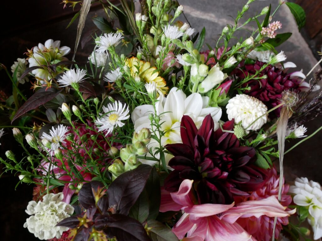 What's in Season - October - Clodhopper Blooms