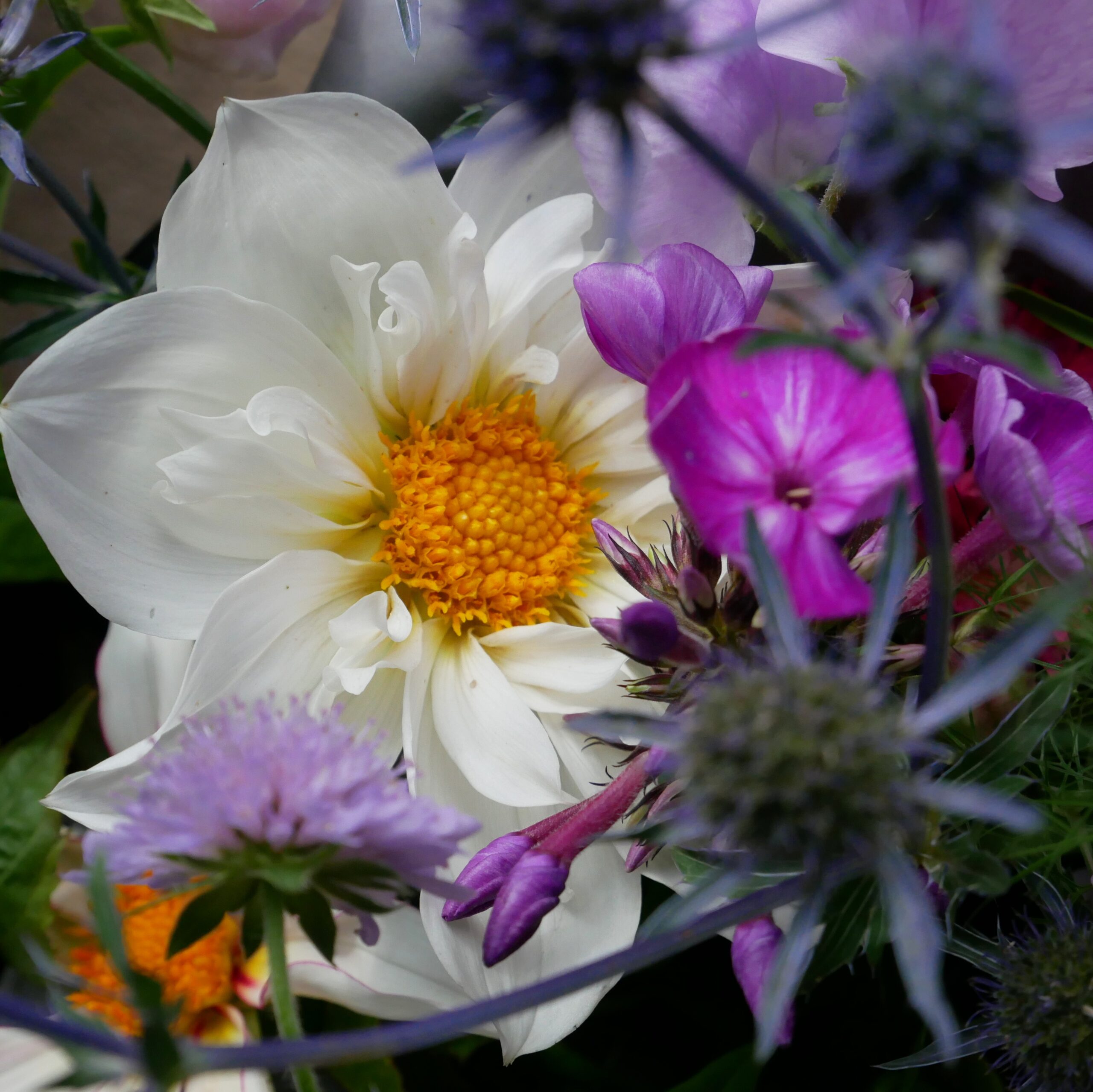 Ethos and Sustainability - Clodhopper Blooms